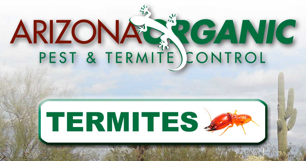 Termite Pest Control - Arizona Organic Pest & Termite Control