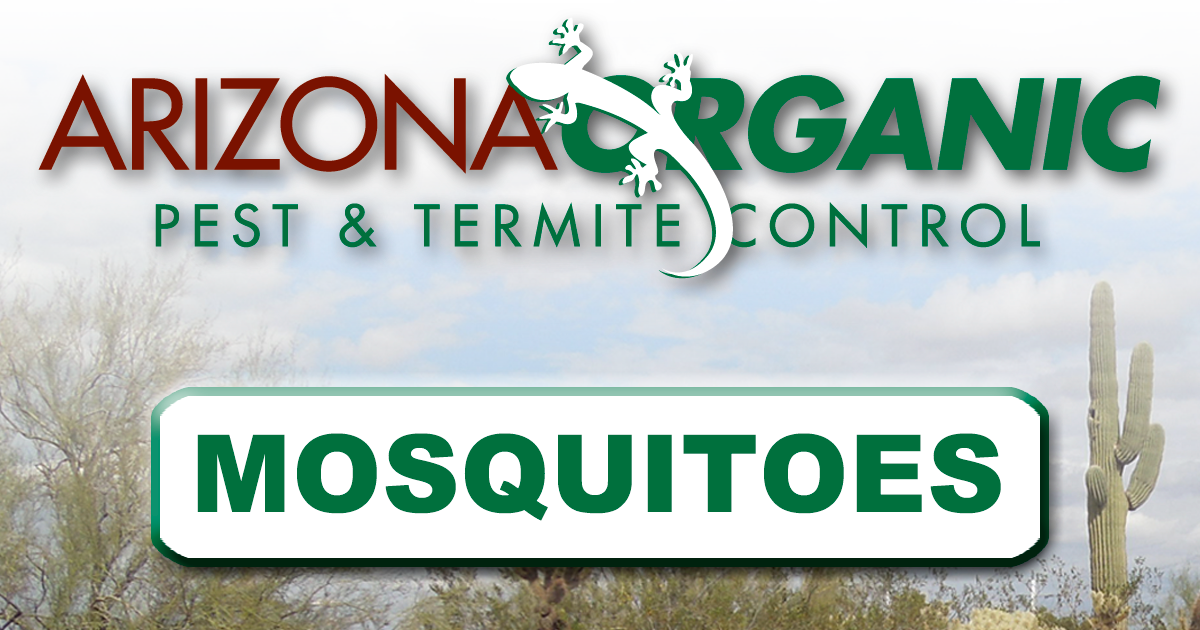 Mosquito Pest Control - Arizona Organic Pest & Termite Control